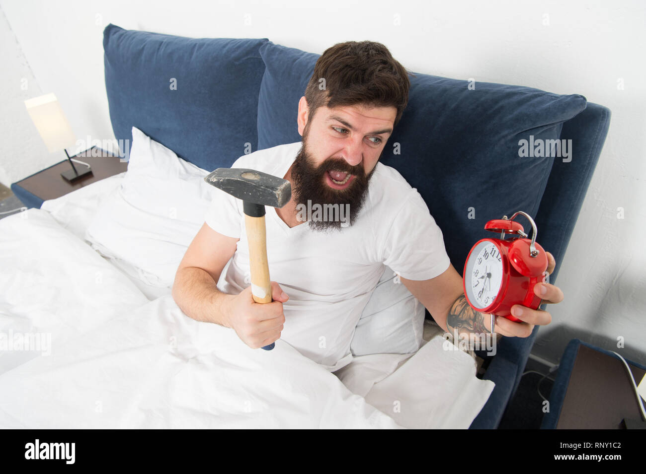 Early Riser High Resolution Stock Photography and Images - Alamy