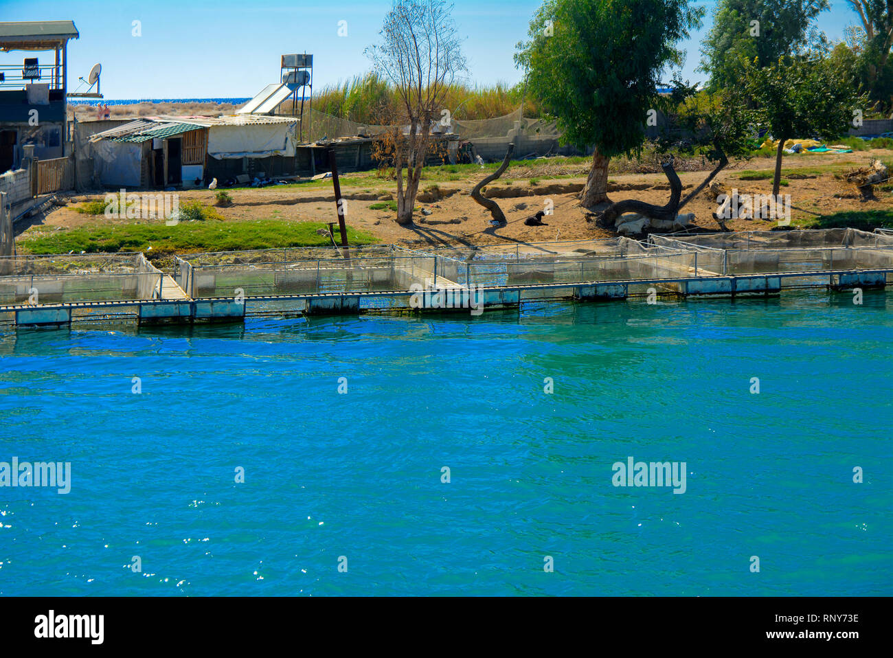 Artificial breeding of fish. Tanks from the net in the open air farm ...