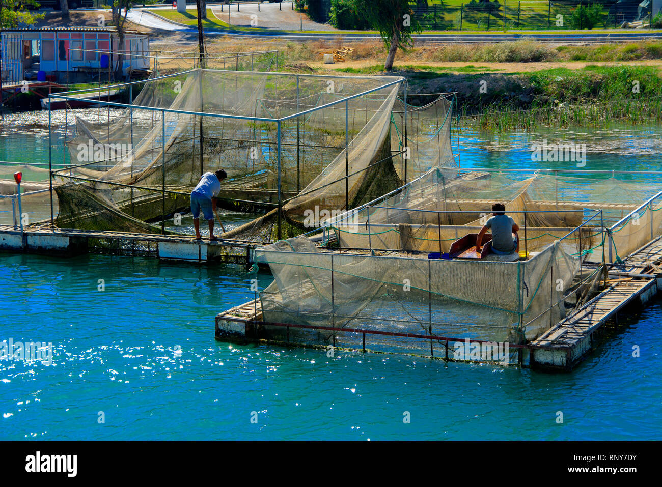 Salmon breeding tanks hi-res stock photography and images - Alamy