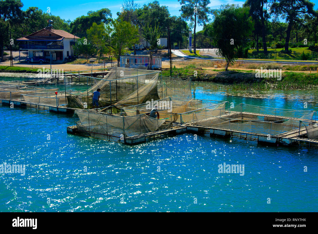 Artificial breeding of fish. Tanks from the net in the open air farm ...