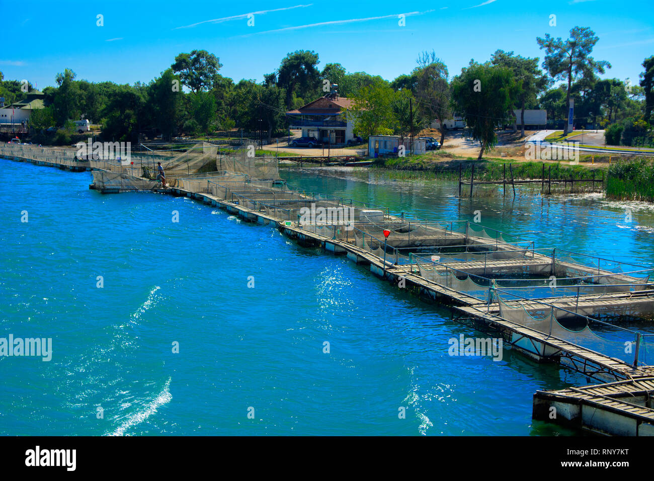 Artificial breeding of fish. Tanks from the net in the open air farm ...