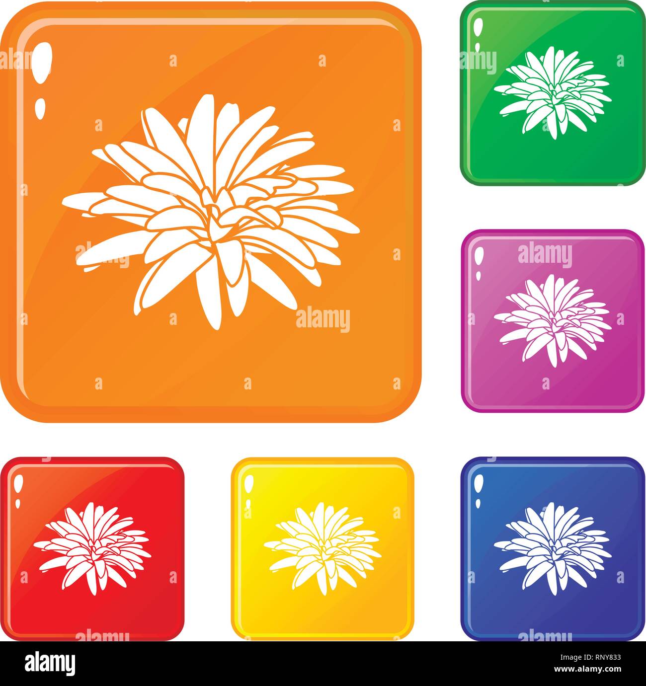 Aster flower icons set vector color Stock Vector Image & Art - Alamy