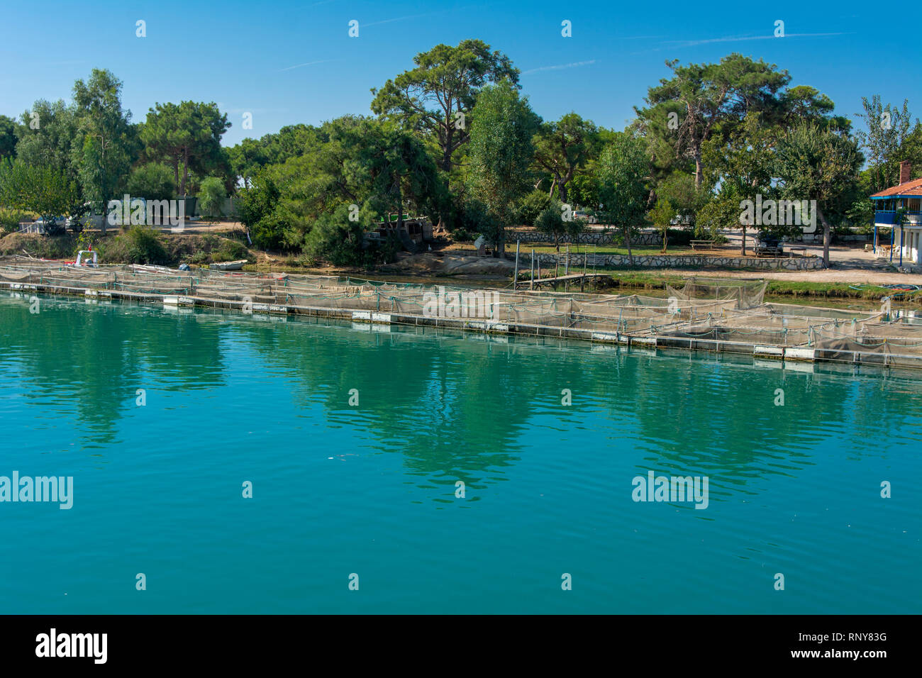 Artificial breeding of fish. Tanks from the net in the open air farm ...