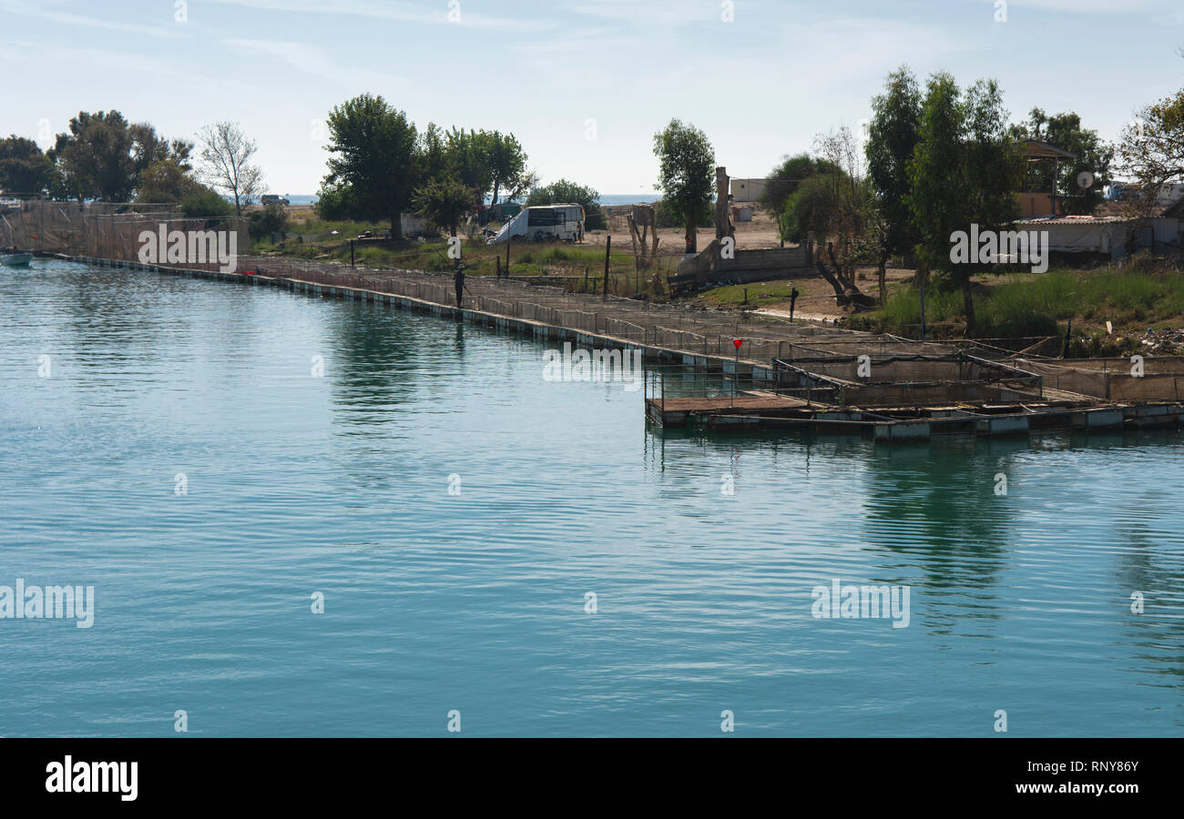 Artificial breeding of fish. Tanks from the net in the open air farm ...
