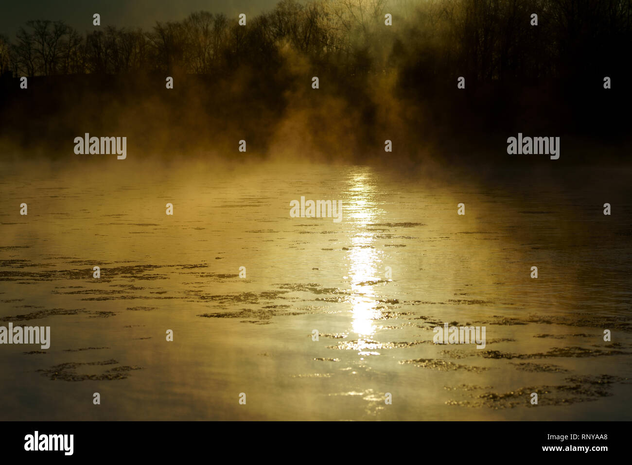 Night freezing fog hi-res stock photography and images - Alamy