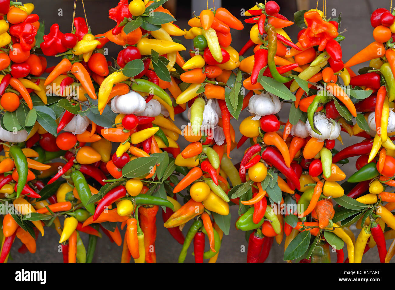 Colorful hot Chili Peppers hanging at strings Stock Photo - Alamy