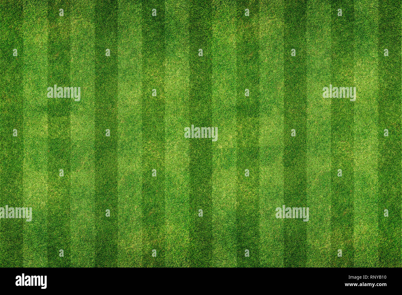 green grass line background Stock Photo - Alamy