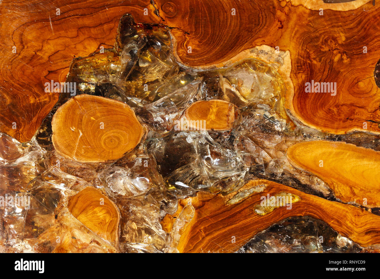 Unique wooden texture formed by years in nature Stock Photo - Alamy