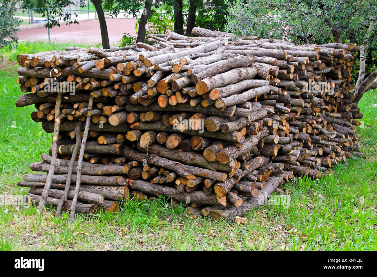 Big bunch of cut fire wood logs Stock Photo - Alamy