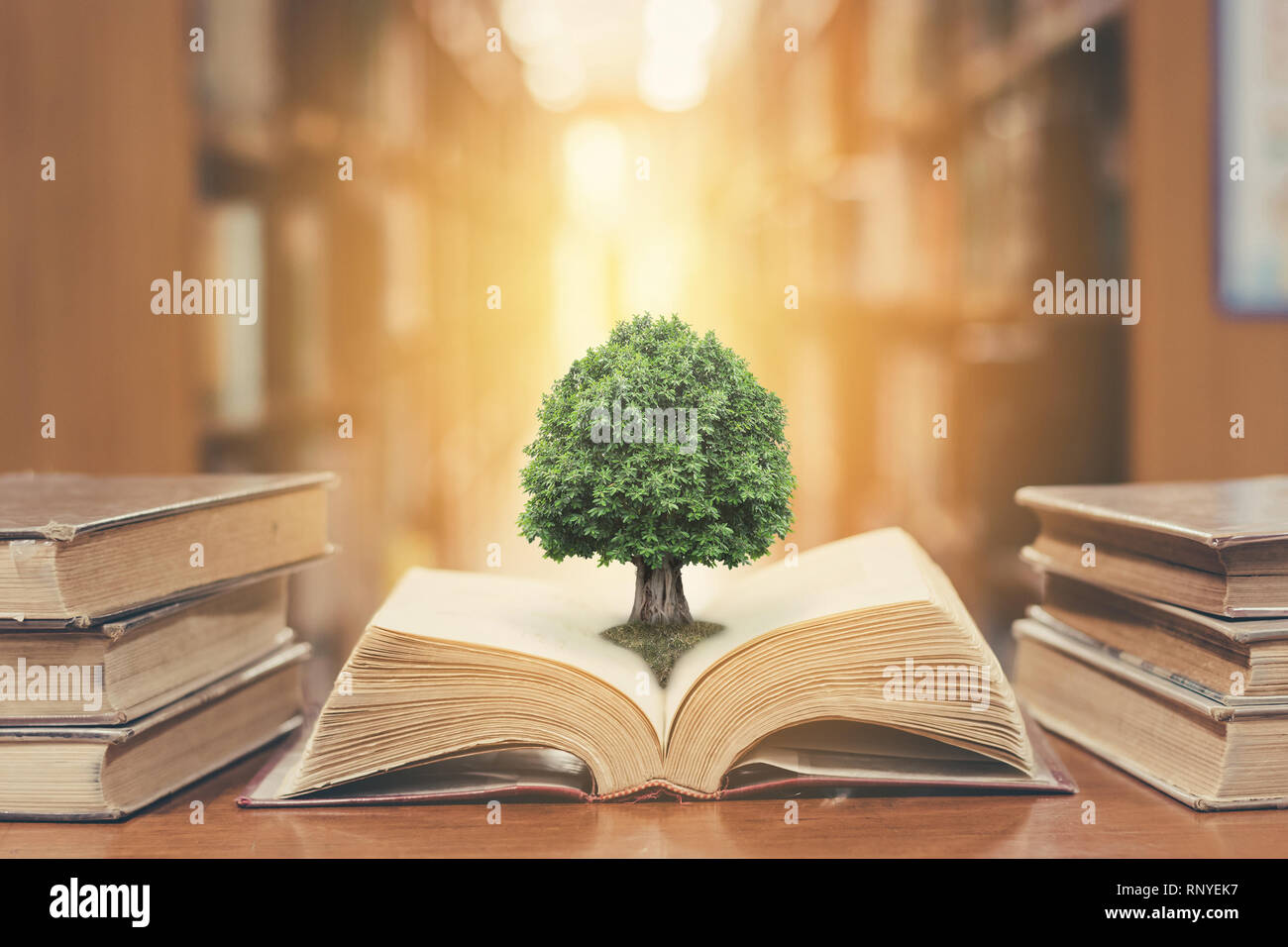 Big book piles hi-res stock photography and images - Alamy