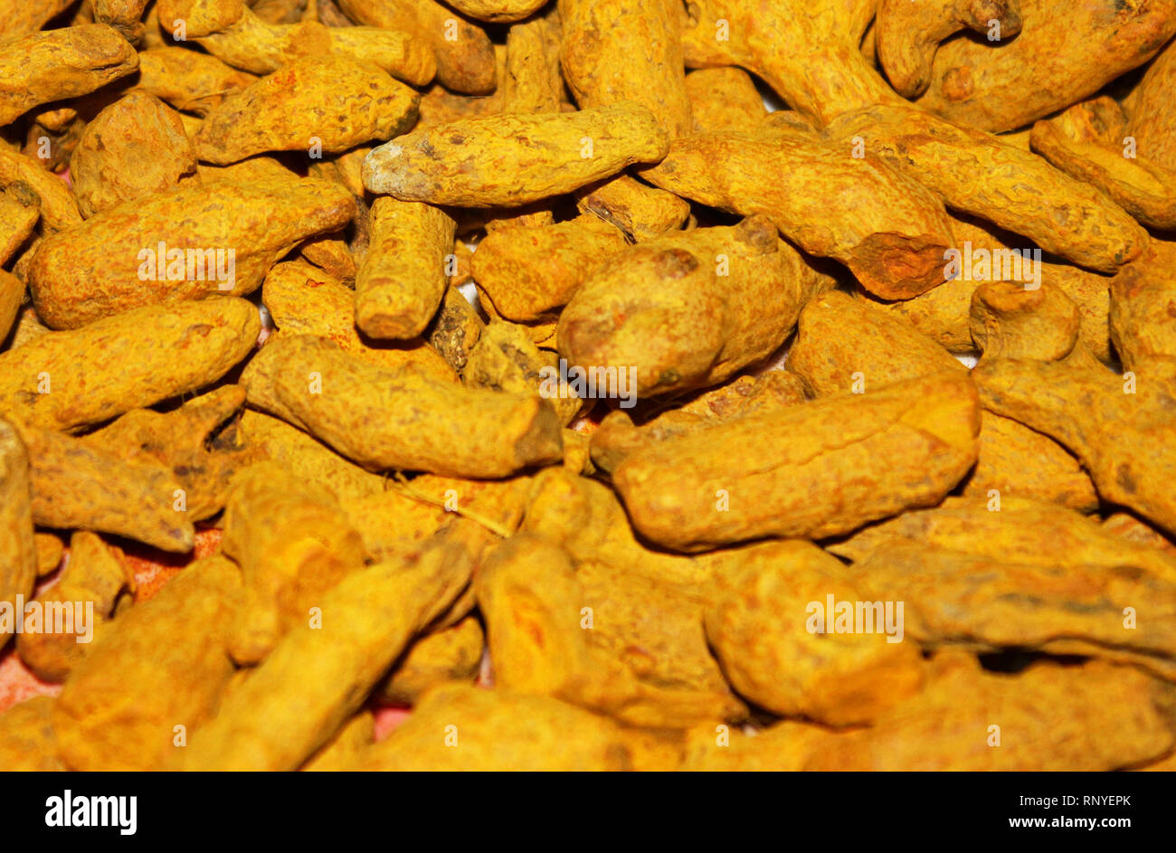 Food image of fresh turmeric root hi-res stock photography and images ...