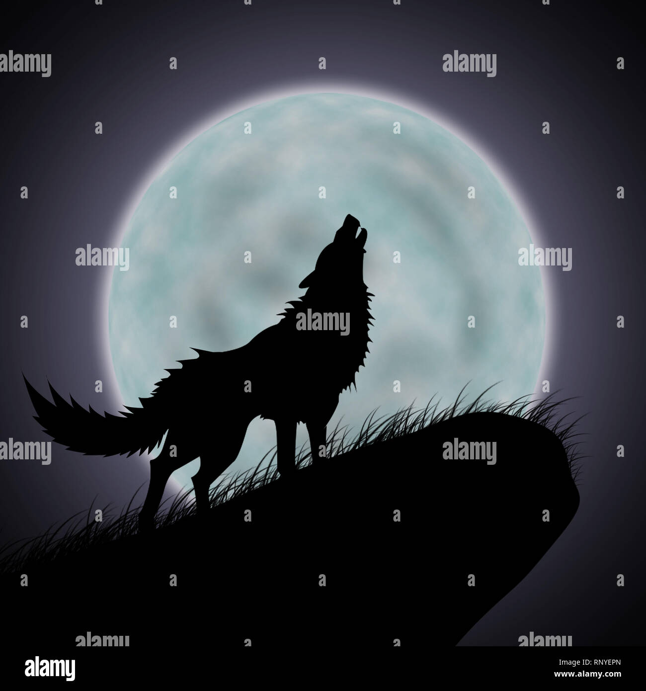 Wolves howl and full moon Stock Photo - Alamy