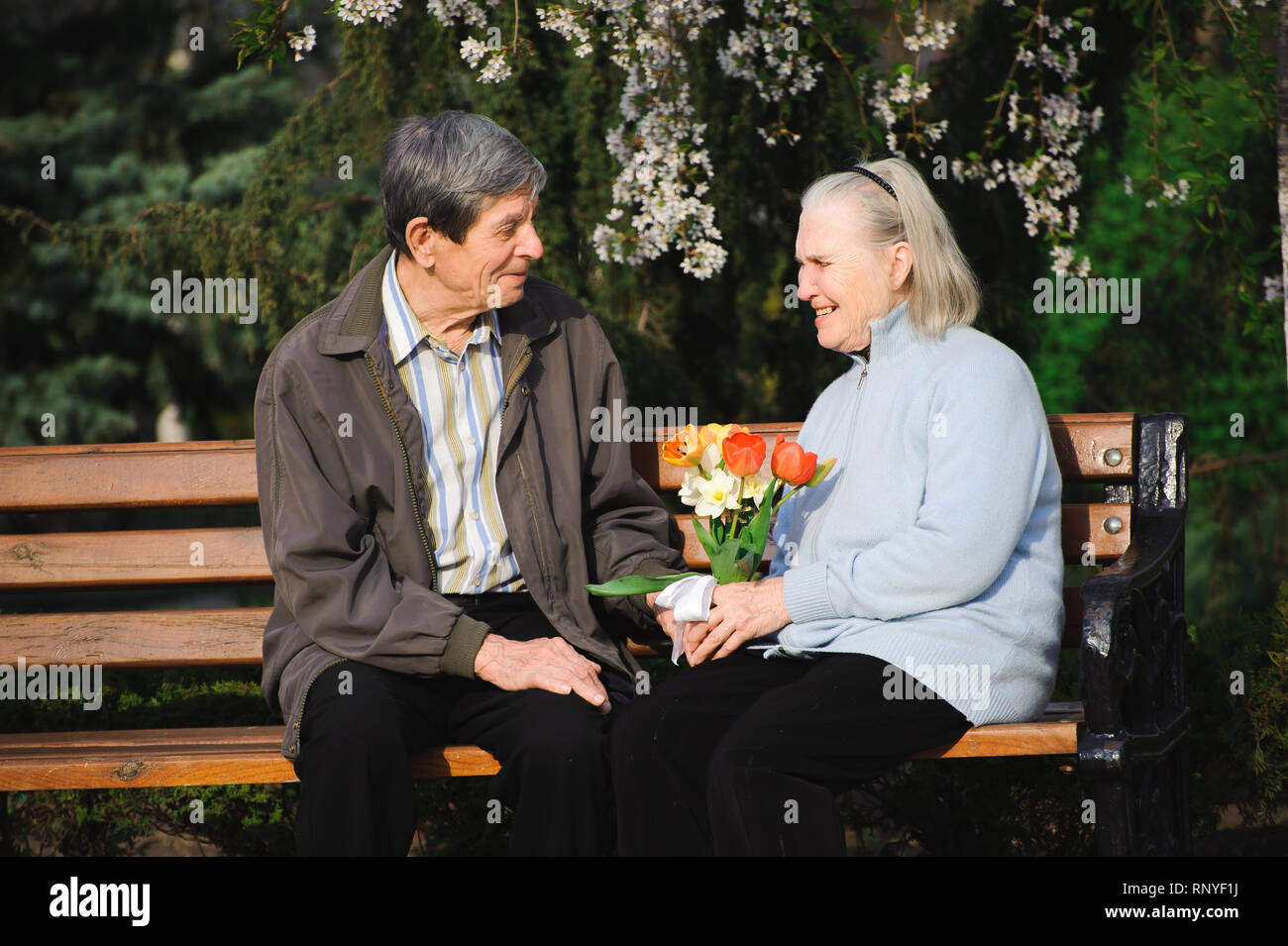 beautiful happy old people sitting in the autumn park Stock Photo - Alamy