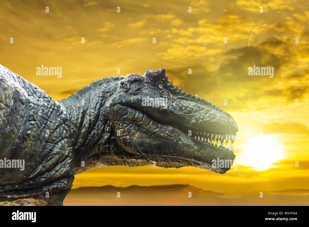 Tyrannosaurus rex in sunset Stock Photo - Alamy