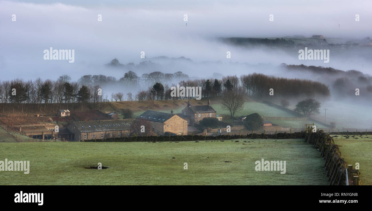 Radiation fog near Dunholme in West Yorkshire an unusual weather event ...