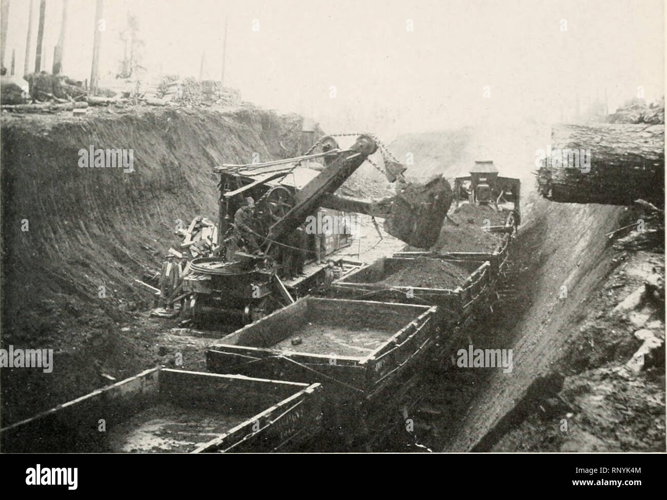 . American forestry. Forests and forestry. TllH LOGGIXG KXCIXKER 1 THE ...