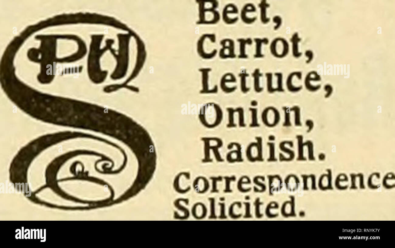 Washington d c 1919 president hi-res stock photography and images - Alamy