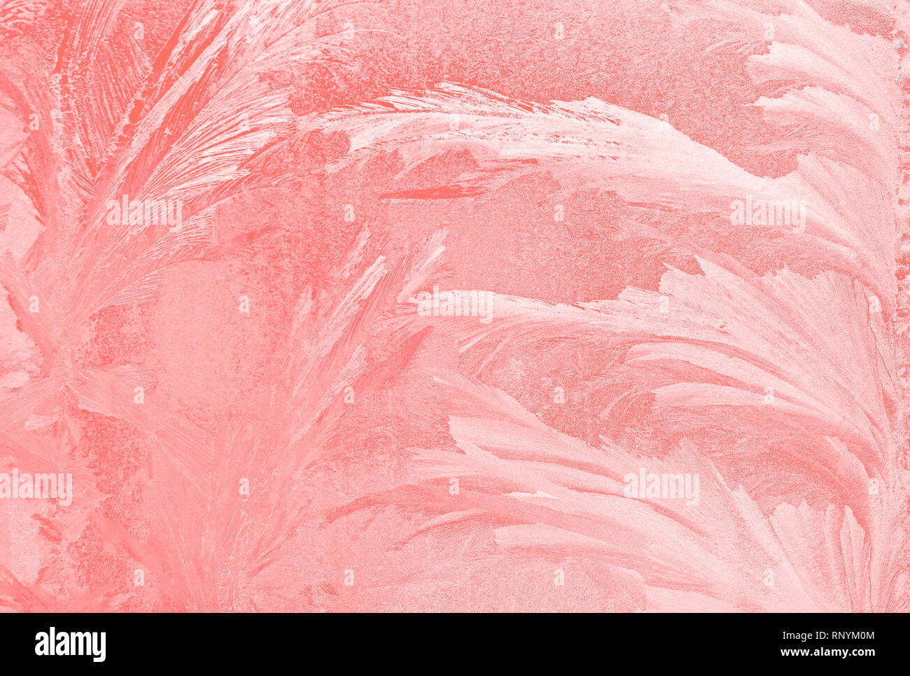 Color of the year 2019 - Living Coral Background Pattern for your ...