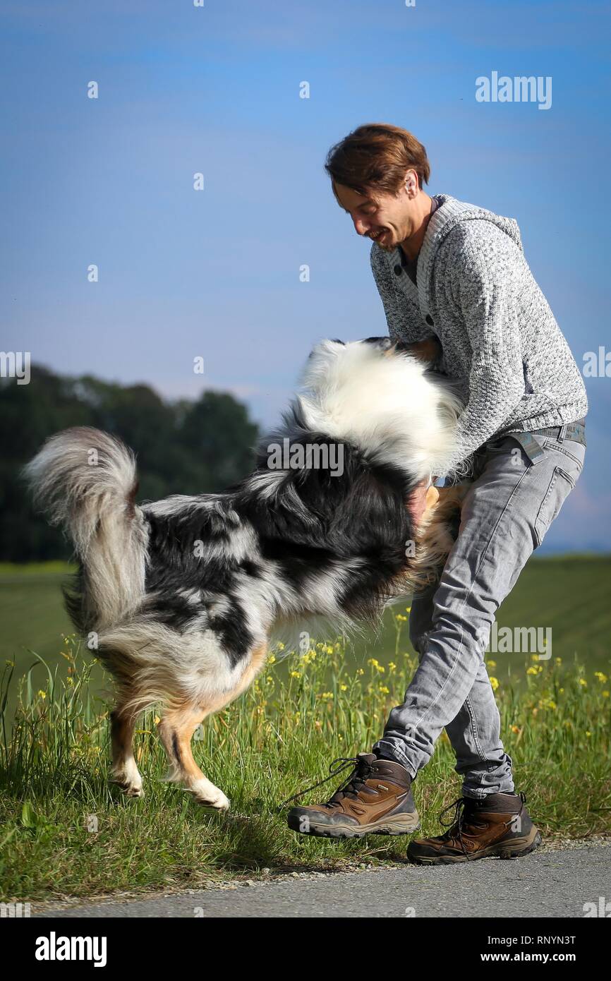 man and longhaired Collie Stock Photo - Alamy