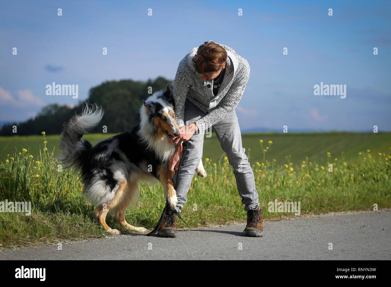 Blue eyed grass habit hi-res stock photography and images - Alamy