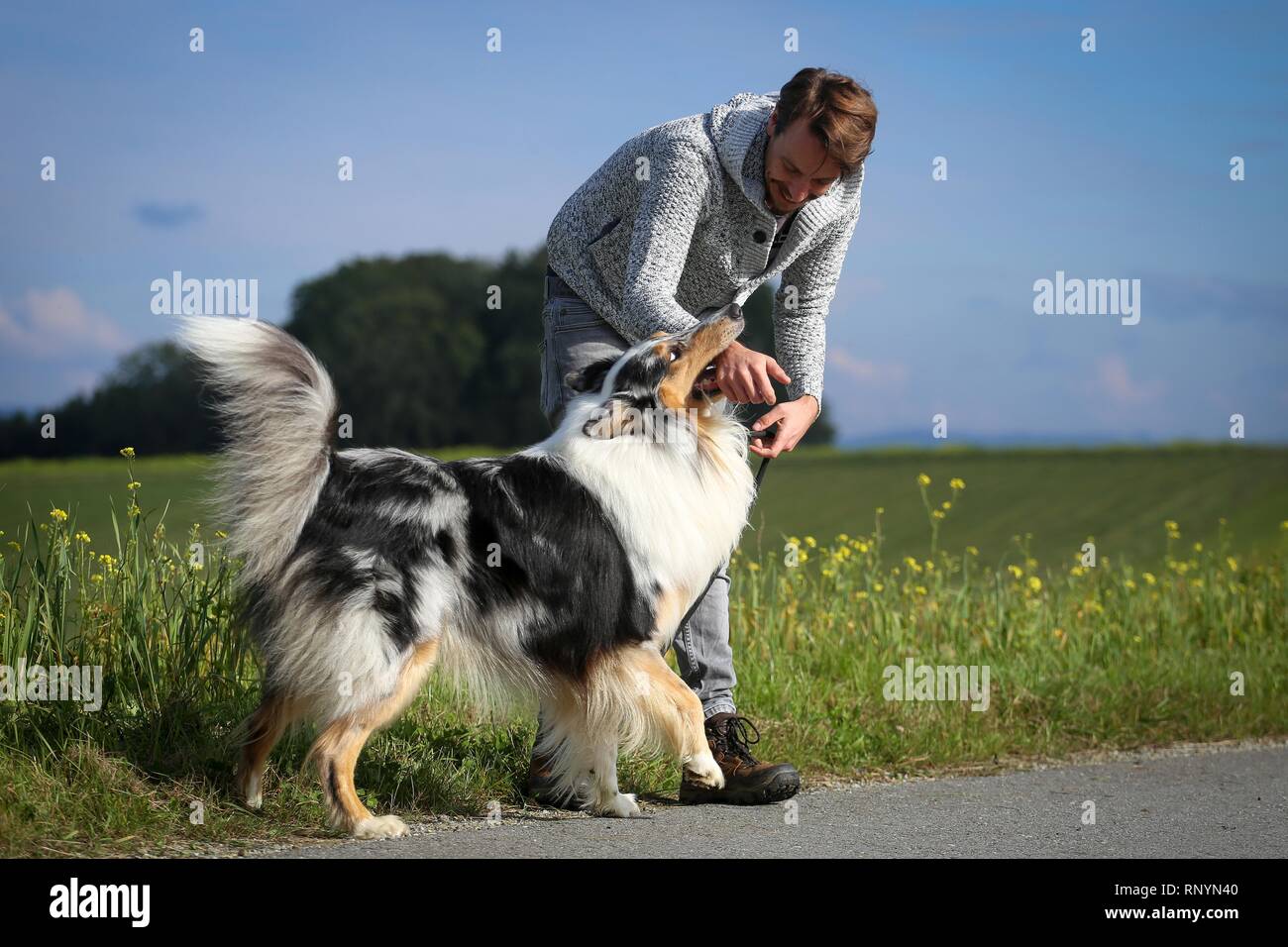 Rough habit hi-res stock photography and images - Alamy