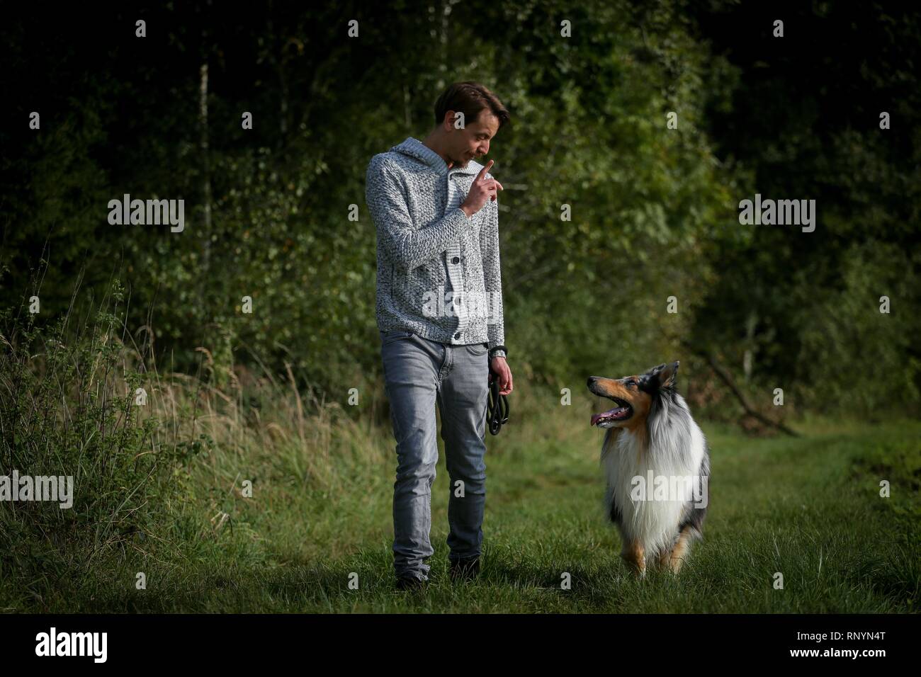 man and longhaired Collie Stock Photo - Alamy