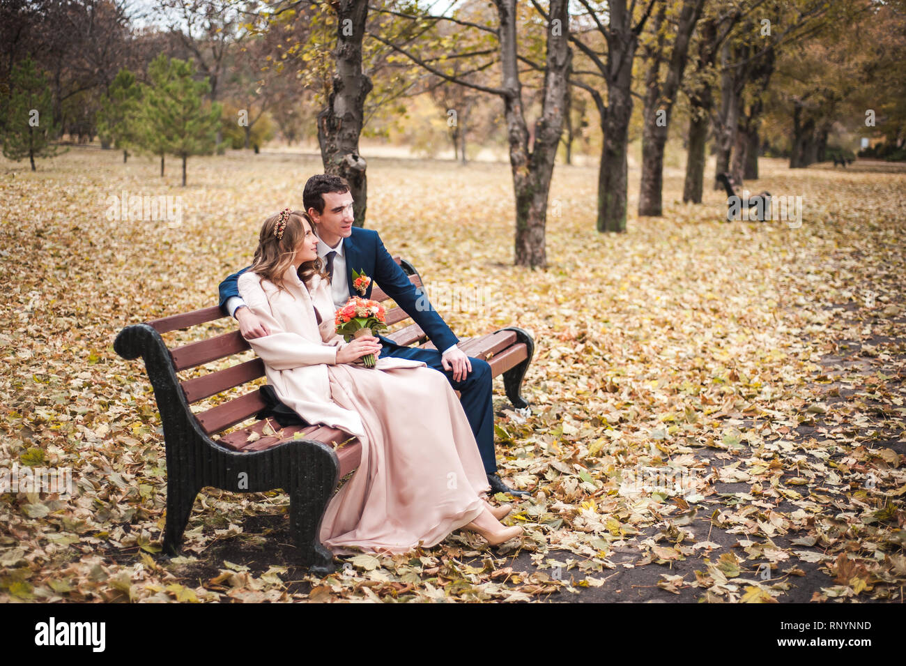 The beautiful bride and handsome groom sitting on a bench Stock Photo ...