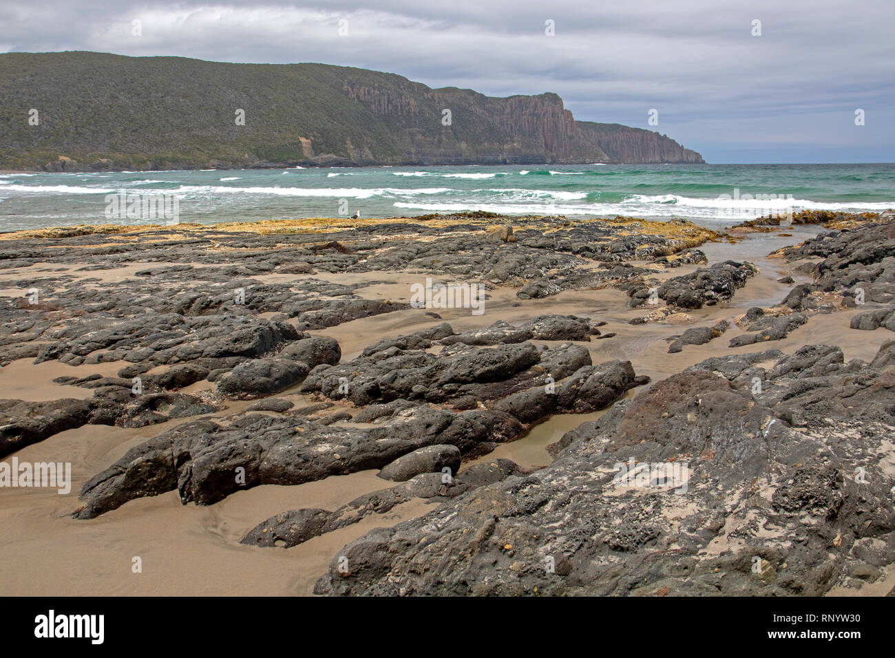 View from Granite Beach to the Fluted Cliffs along the South Coast ...