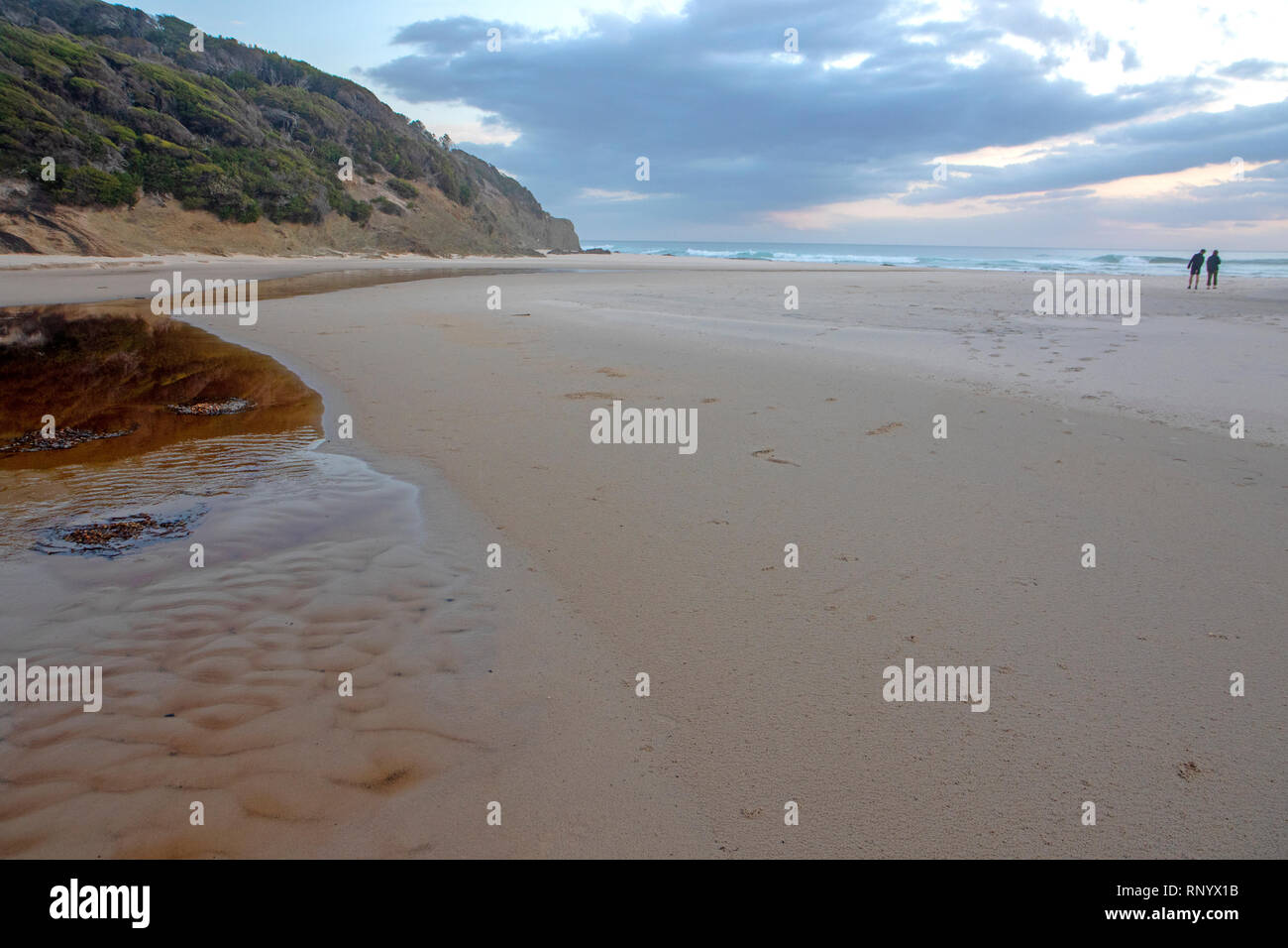 Osmiridium Beach along the South Coast Track Stock Photo - Alamy