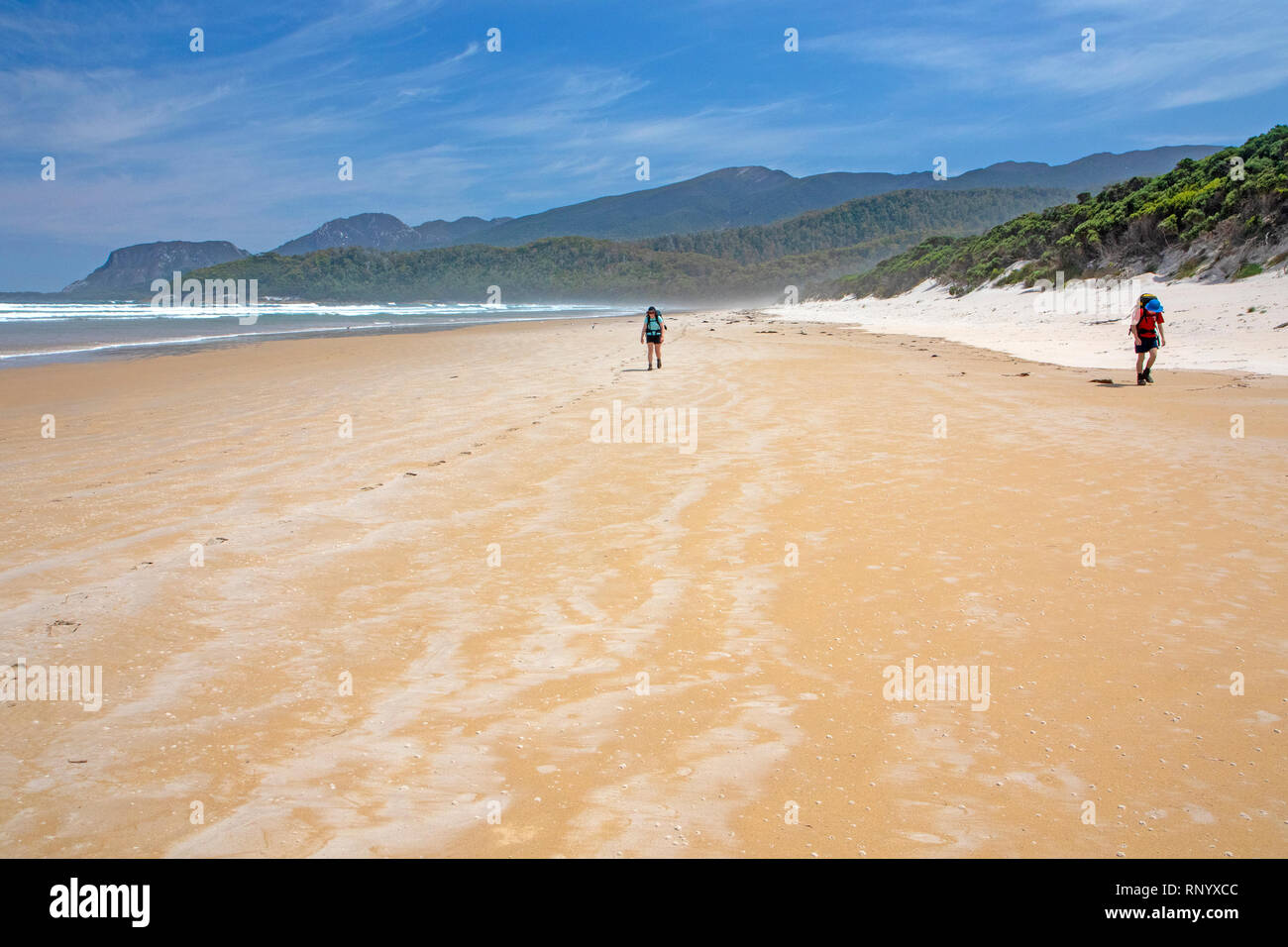 Hiking on Prion Beach along the South Coast Track Stock Photo - Alamy