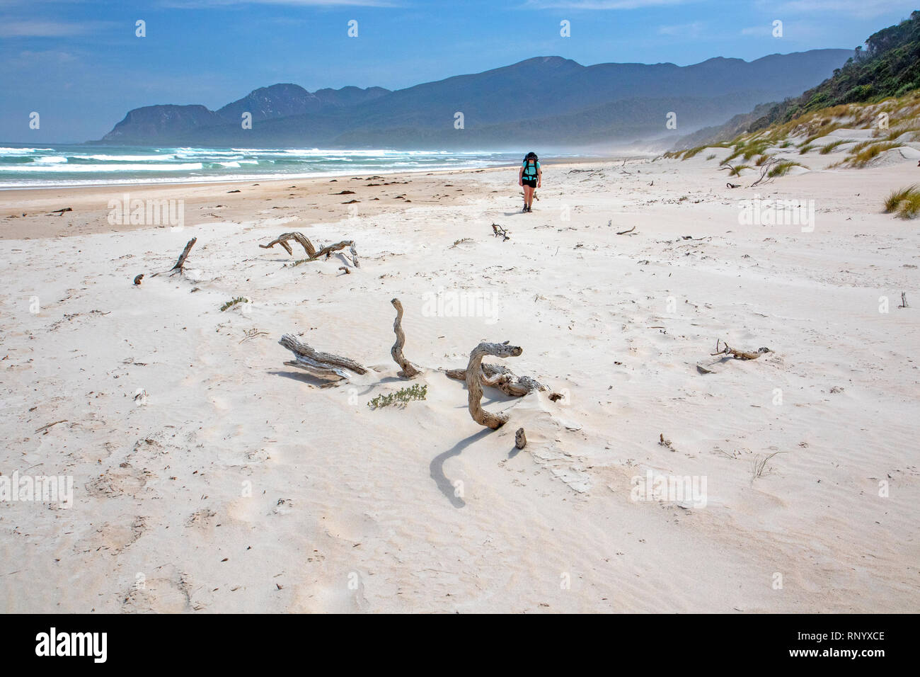 Hiking on Prion Beach along the South Coast Track Stock Photo - Alamy