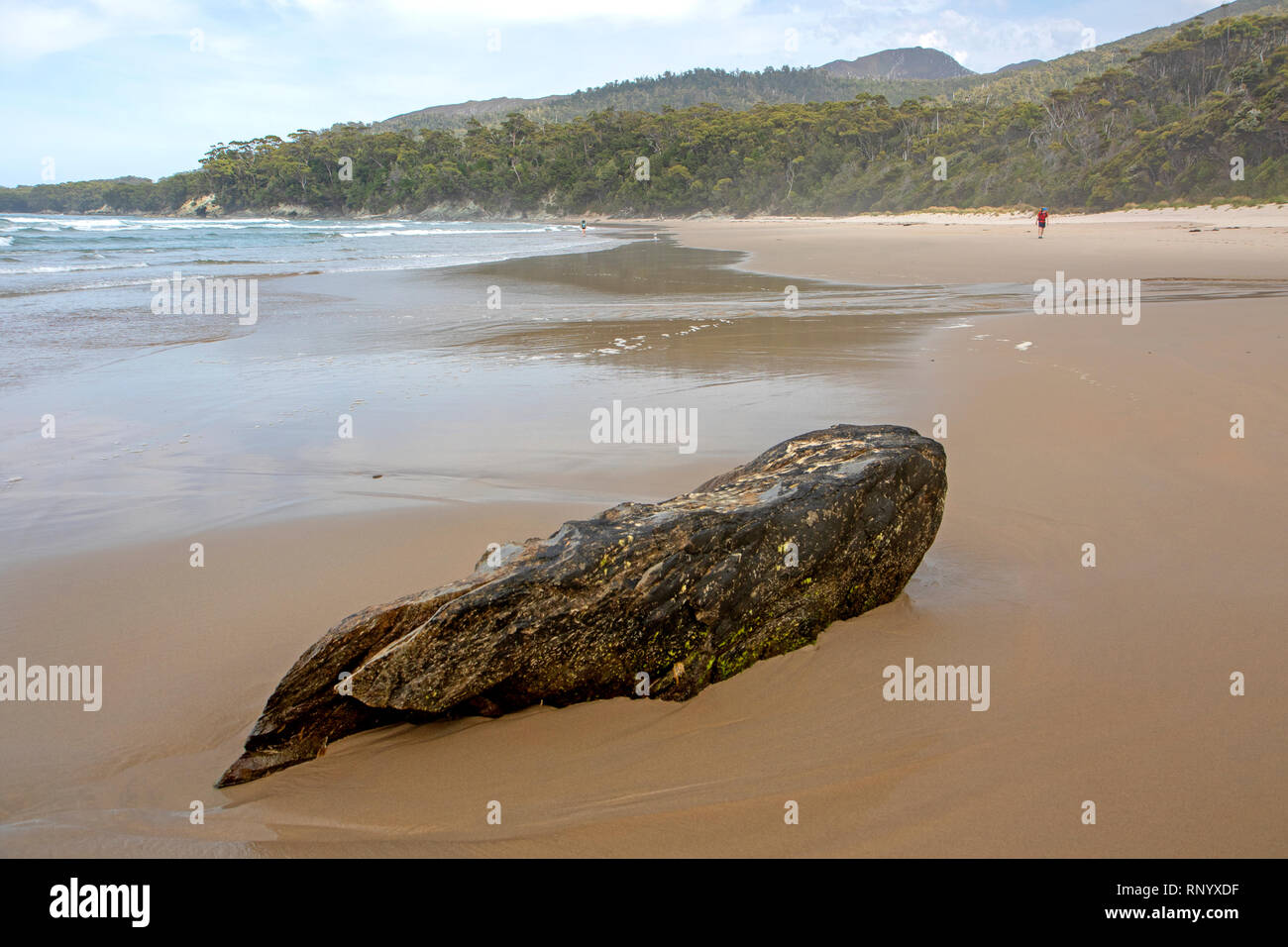 South Coast Track hiker on Turua Beach Stock Photo - Alamy