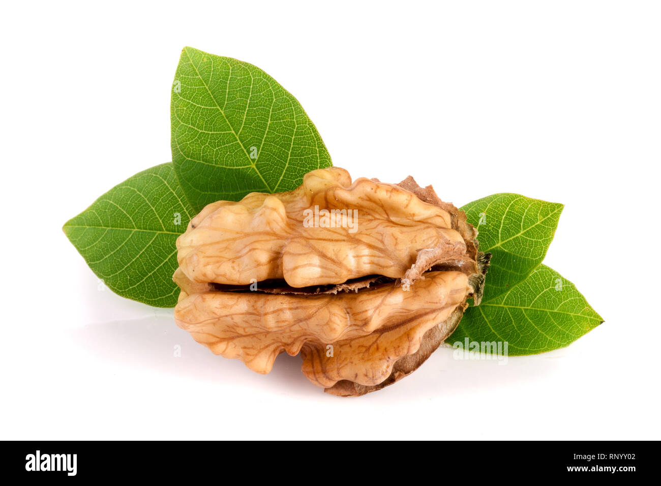 Walnut with leaf isolated on white background Stock Photo - Alamy