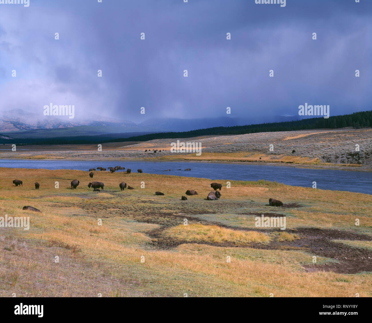 Hayden valley dark clouds hi-res stock photography and images - Alamy
