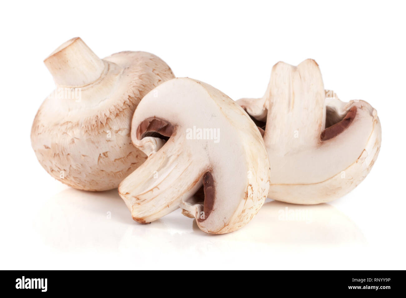 Fresh champignon mushrooms isolated on white background Stock Photo - Alamy