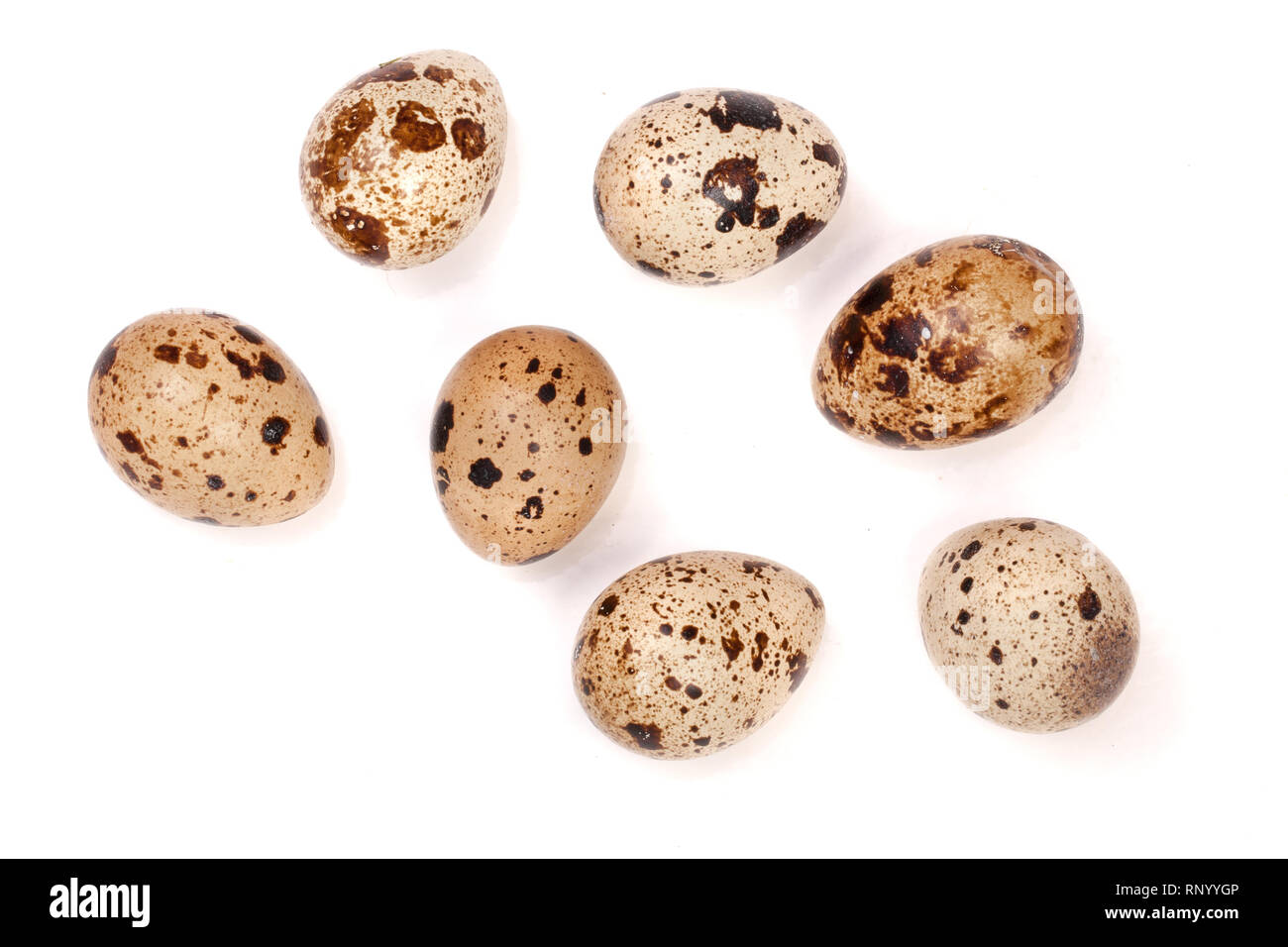 Spotty eggs Cut Out Stock Images & Pictures - Alamy