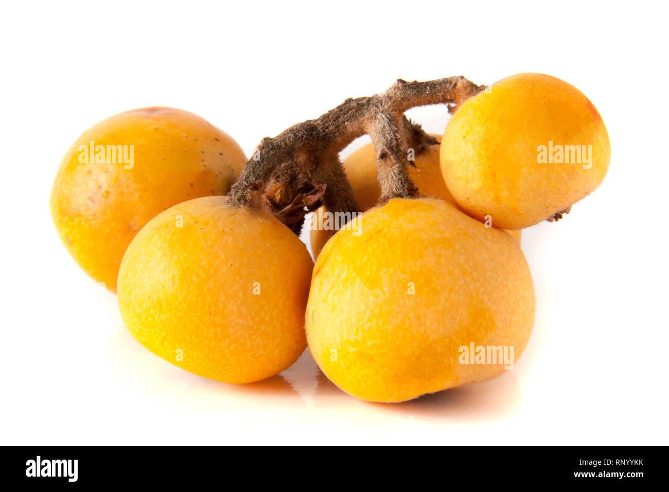 Ripe loquat or Eriobotrya japonica with leaf isolated on white ...