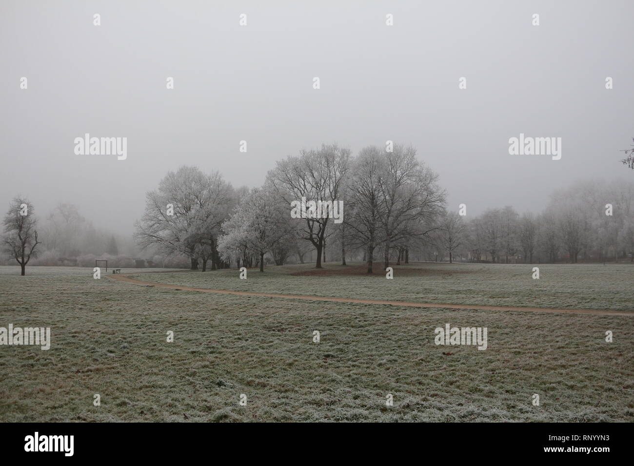 frozen dew covered trees in winter morning Stock Photo - Alamy