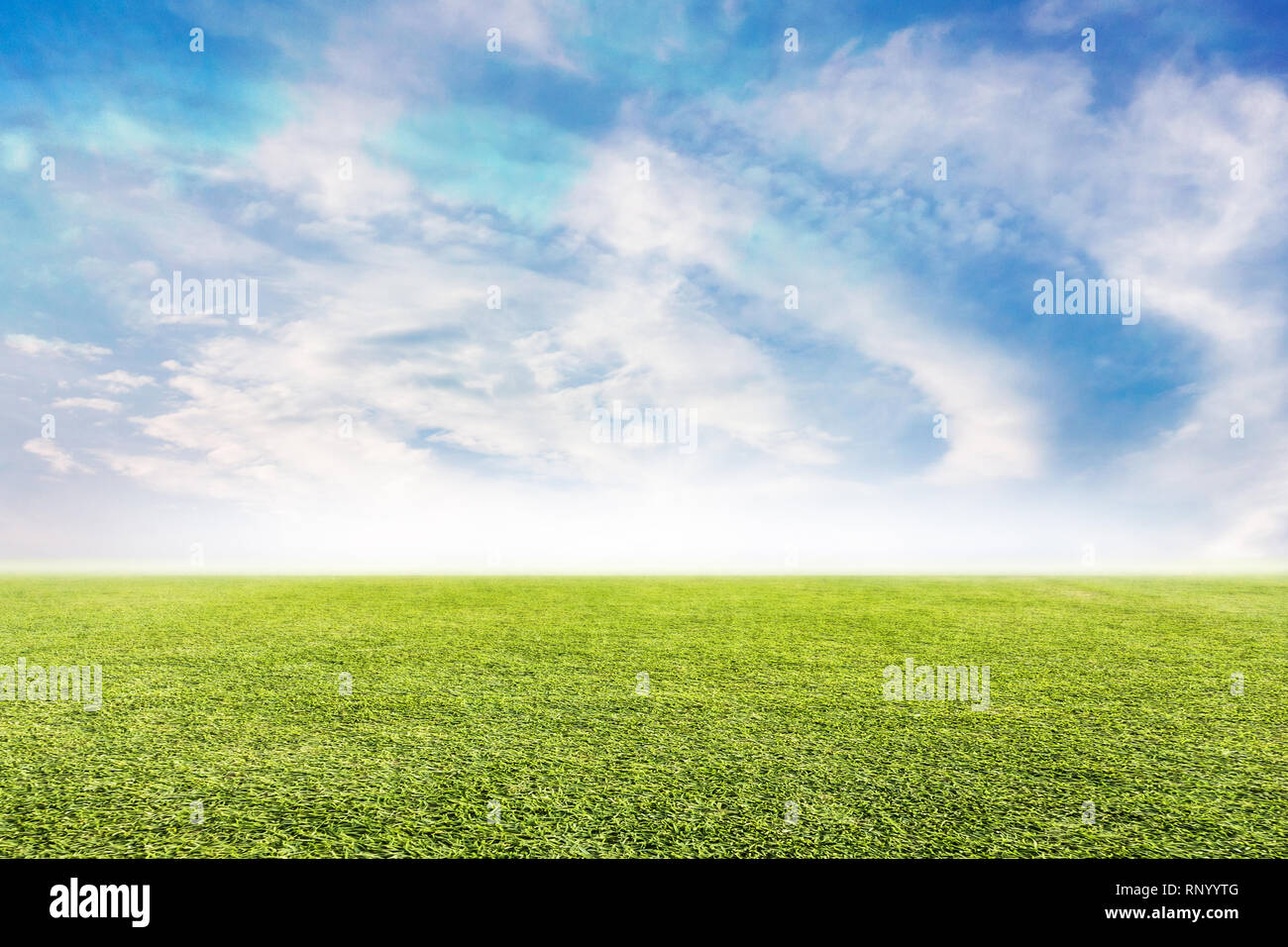 Green lawn and sky background Stock Photo - Alamy