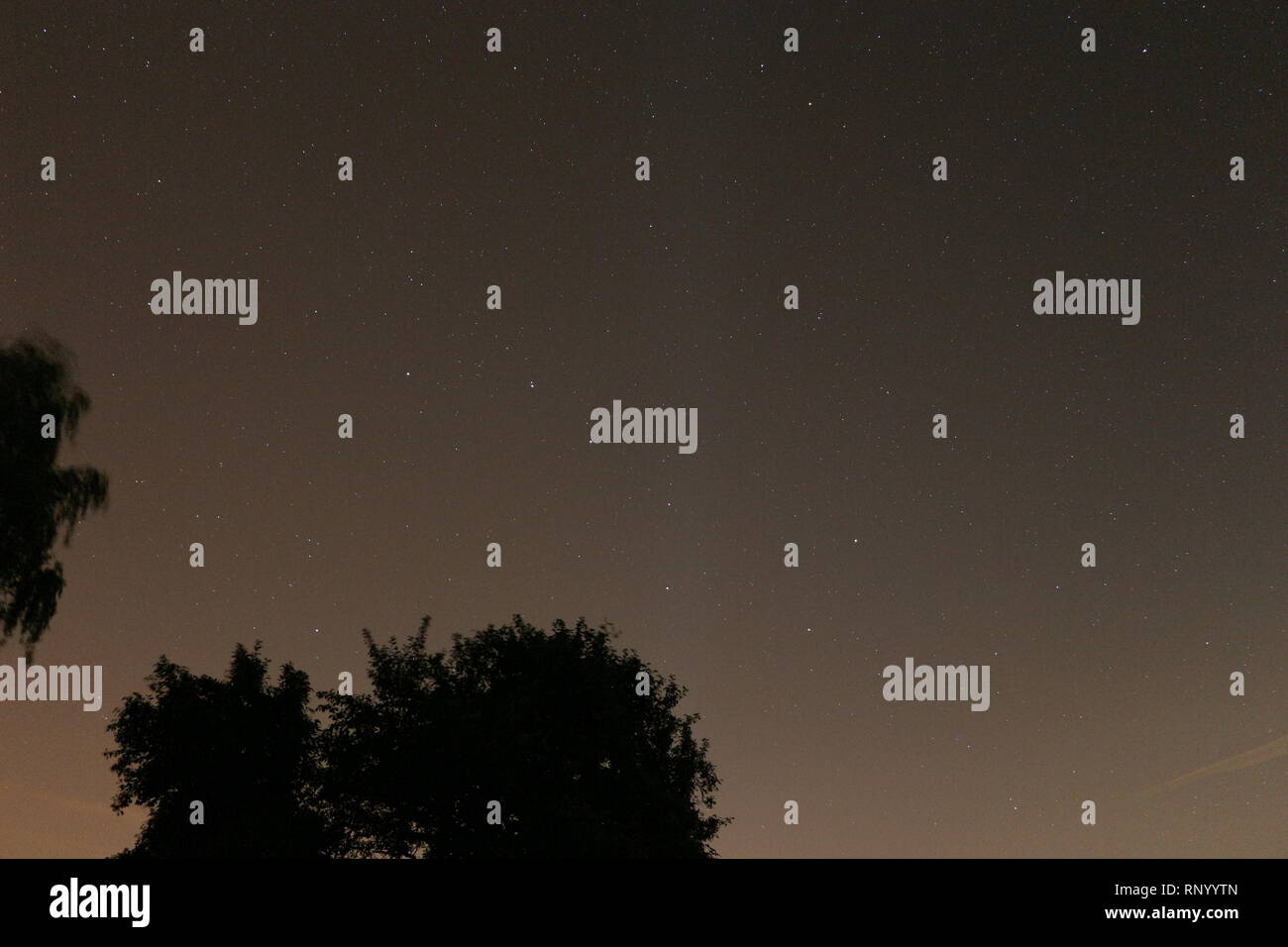 Night sky trees stars grass hi-res stock photography and images - Alamy