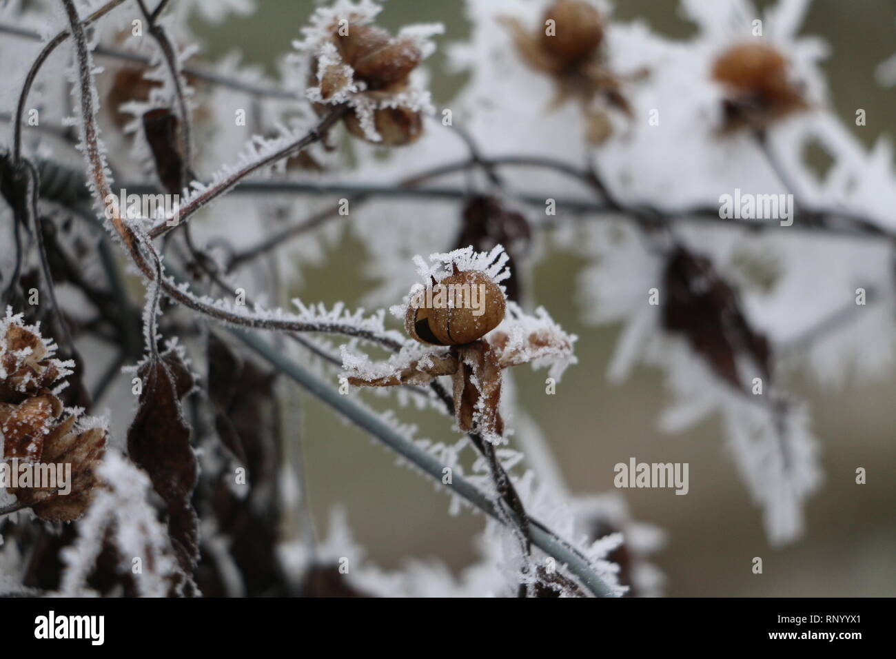 Frozen structure hi-res stock photography and images - Alamy