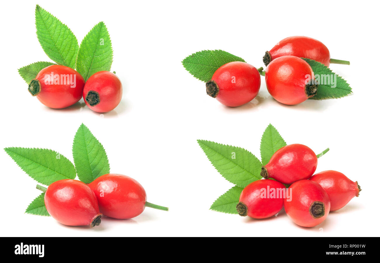rose hip berry with leaf isolated on white background. Set or ...