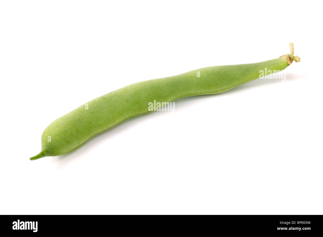 Single Green Bean