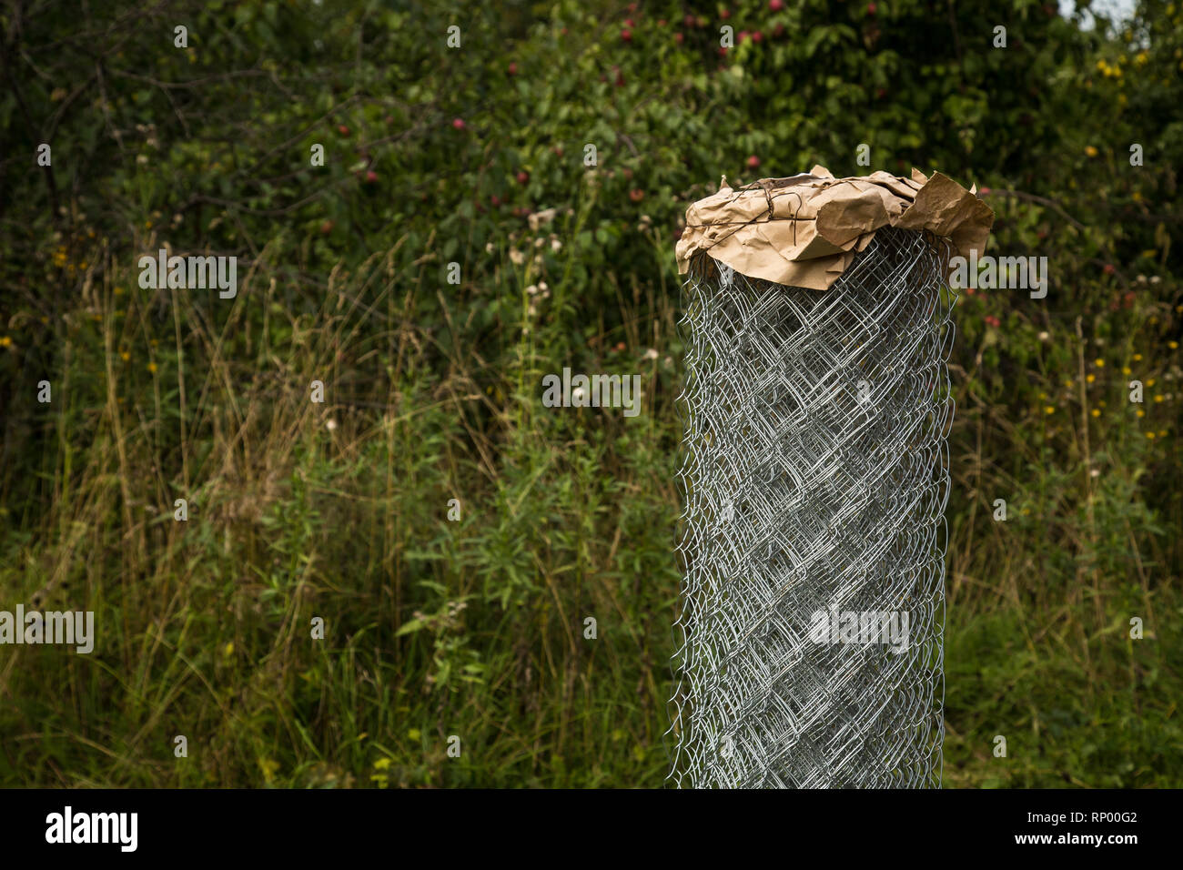 Rabitz grid in a roll on in garden. Selective focus. Free space for ...