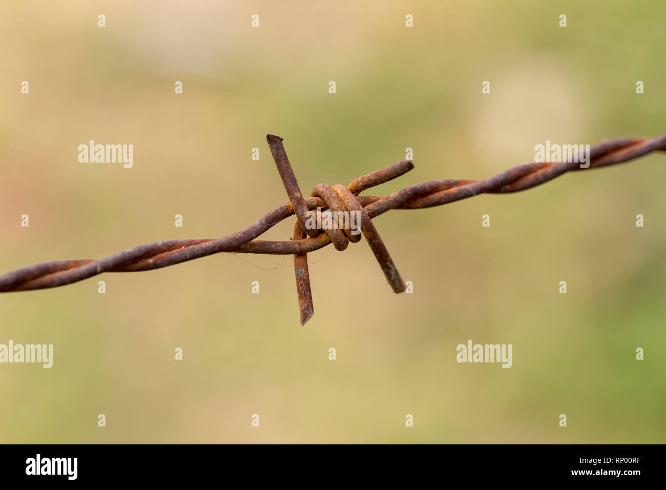 Wire rust hi-res stock photography and images - Alamy