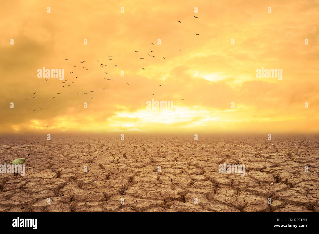 Dry land and hot dry air. There are birds flying back to the nest Stock ...