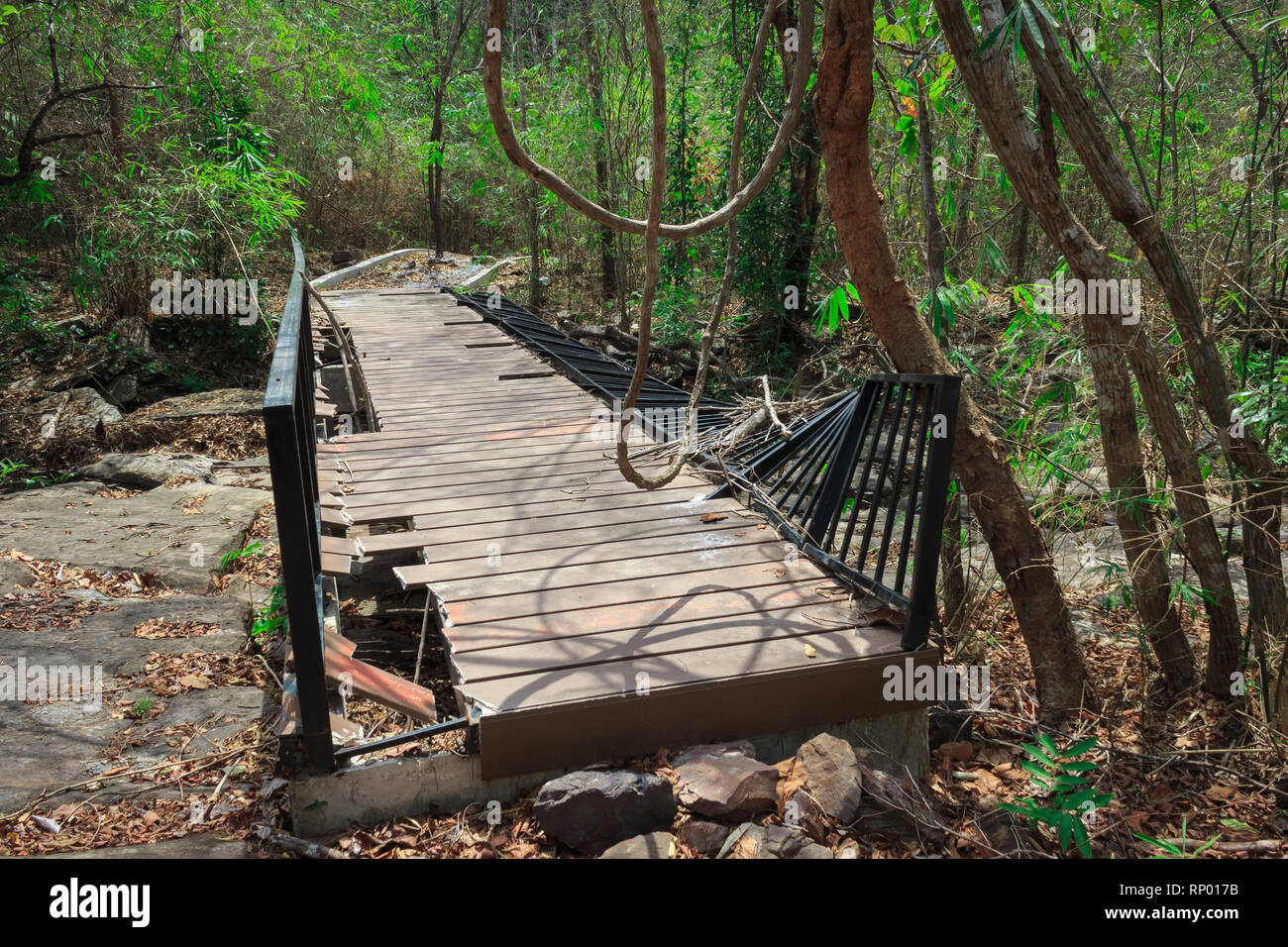 Broken wooden bridge in the rainforest Stock Photo - Alamy