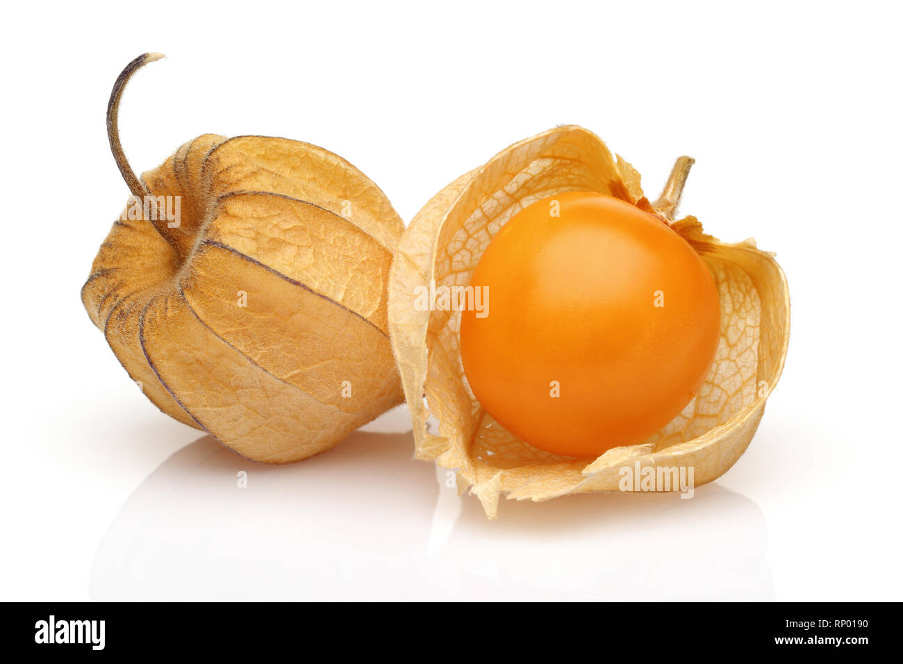Physalis fruit or golden berry isolated on white background Stock Photo ...