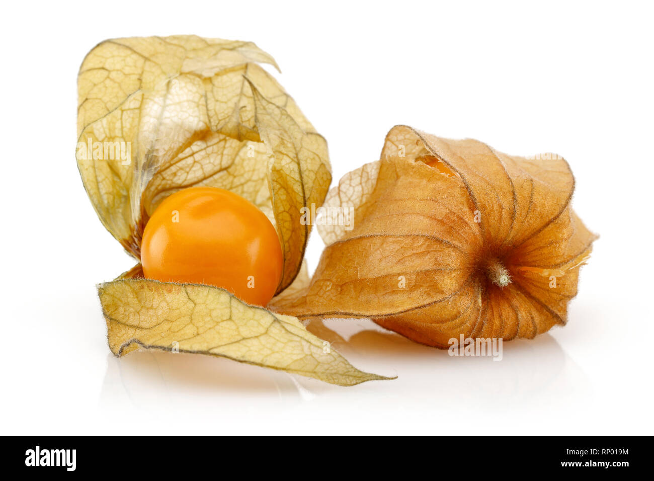 Physalis fruit or golden berry isolated on white background Stock Photo ...