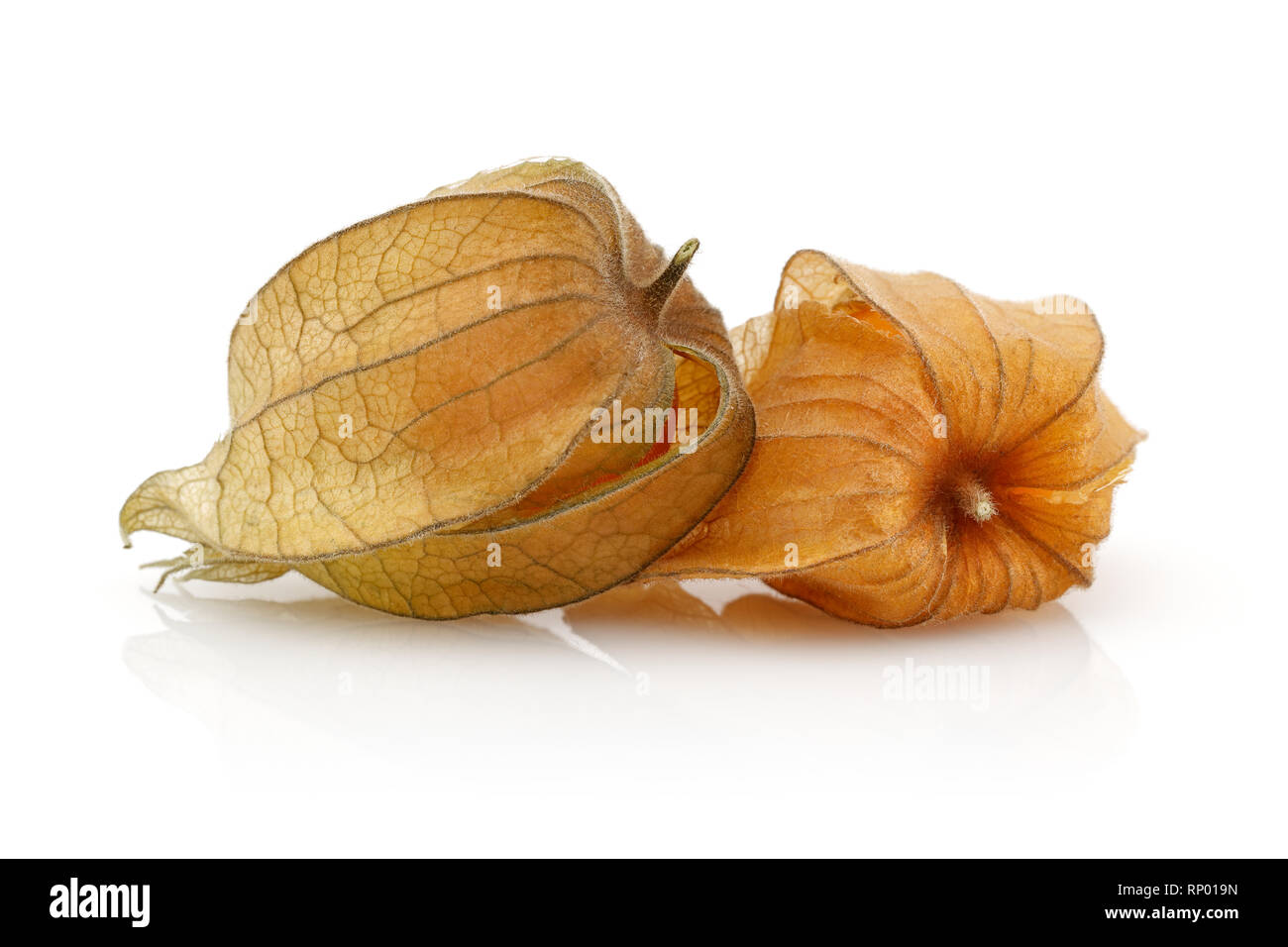 Physalis fruit or golden berry isolated on white background Stock Photo ...